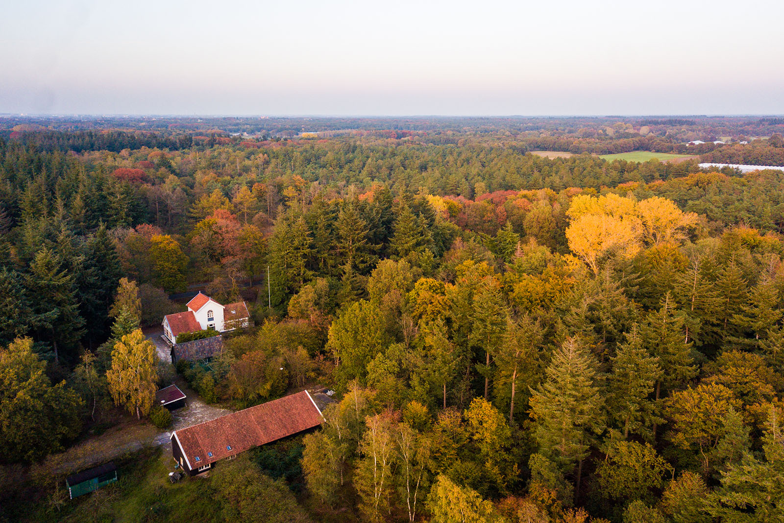 Een afscheid in de natuur op Huis ter Heide Een afscheid in de natuur op Huis ter Heide