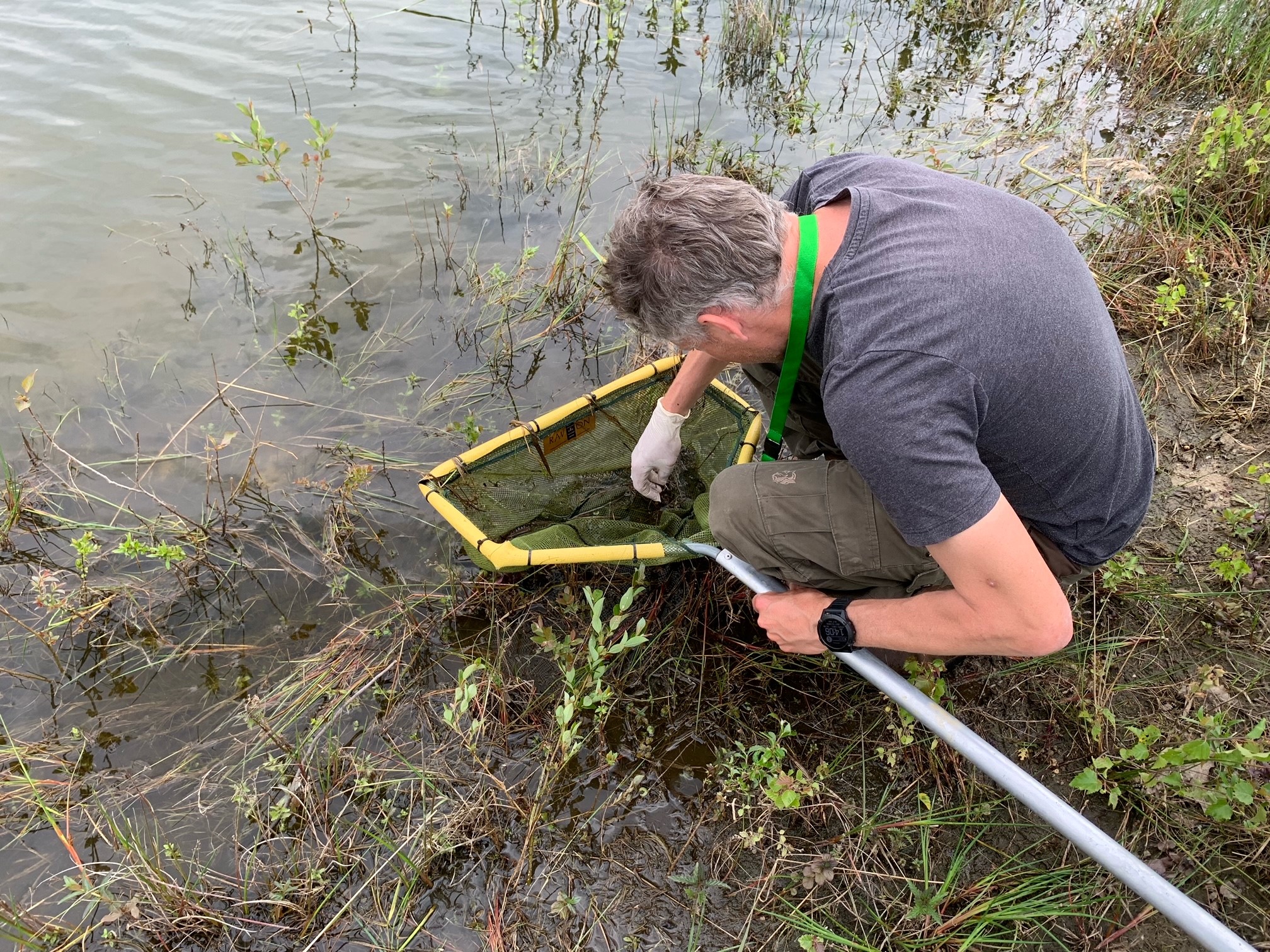 Natuurmonitoring op Schoorsveld - Natuurbegraven Nederland