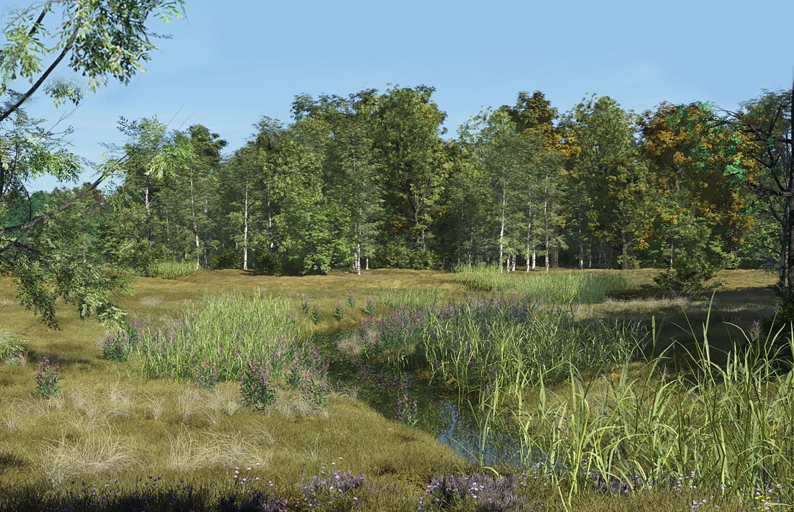Een afscheid in de natuur op Landgoed Christinalust - Natuurbegraven ... Een afscheid in de natuur op Landgoed Christinalust - Natuurbegraven ...