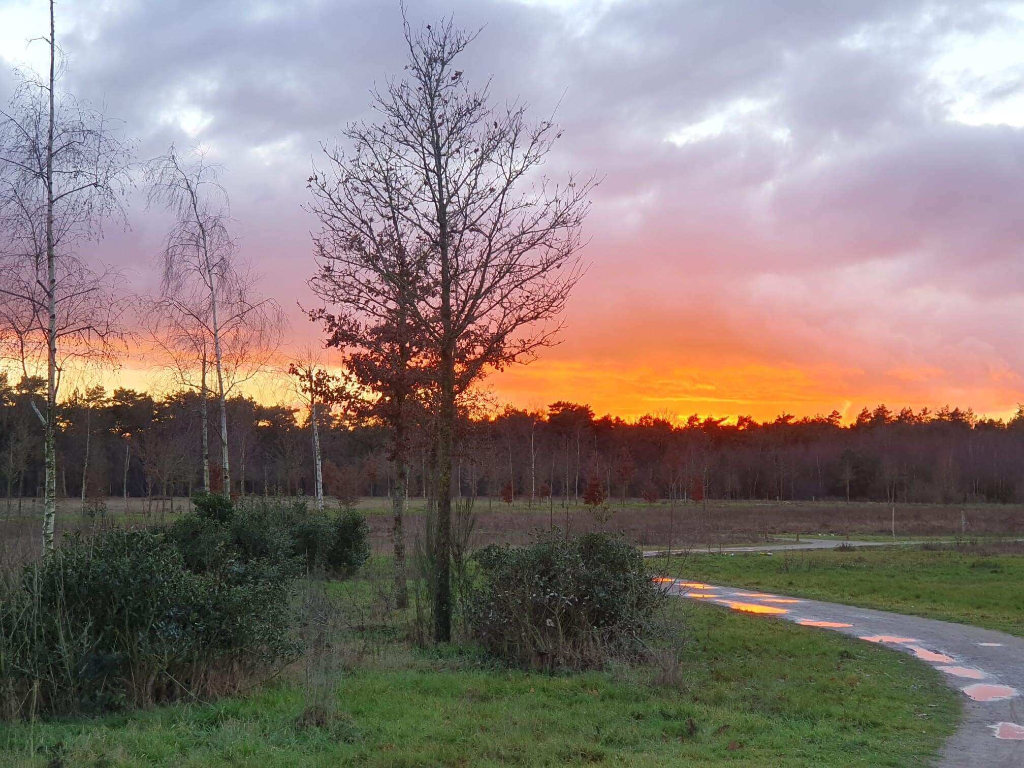 Monitoring vleermuizen - Natuurbegraven Nederland
