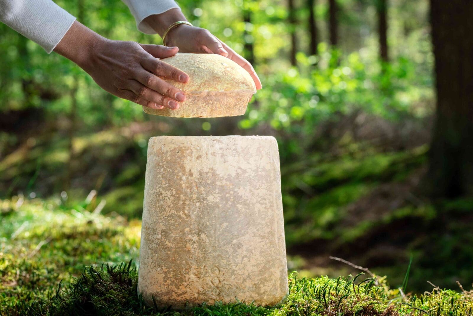 Loop BioTech: Vriendelijk voor mens en natuur - Natuurbegraven Nederland
